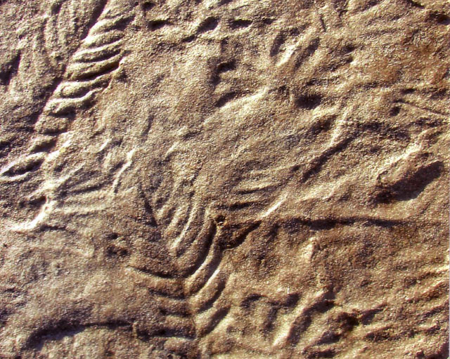 Stamped Concrete